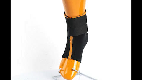 Basic Ankle Support with Velcro Closure – Physiosupplies